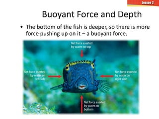 Buoyancy.ppt