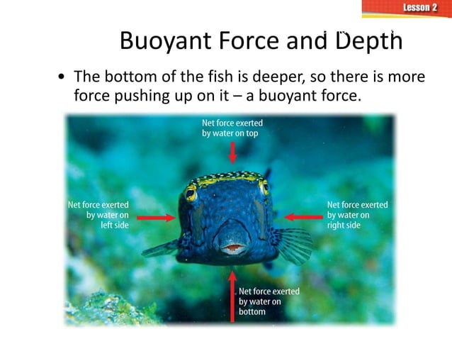 Buoyancy.ppt