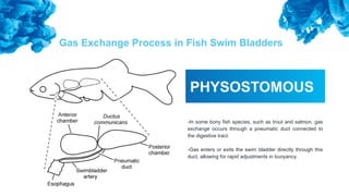 BUOYANCY.............................pptx