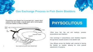 BUOYANCY.............................pptx
