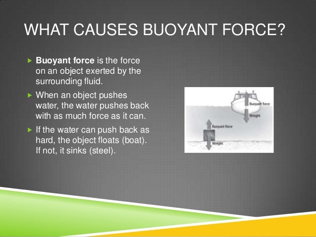 Buoyant force & archimedes principle Buoyant force & archimedes principle