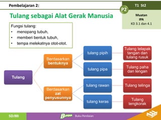 Bupena 5A T1 ST2 KN13N.pptx