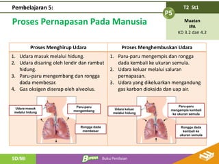 Bupena 5A T2 ST1 KN13N.pptx