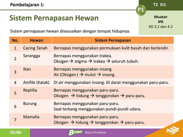 Bupena 5A T2 ST1 KN13N.pptx