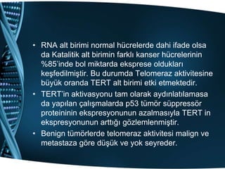 Telomeraz ve Kanser | PPT