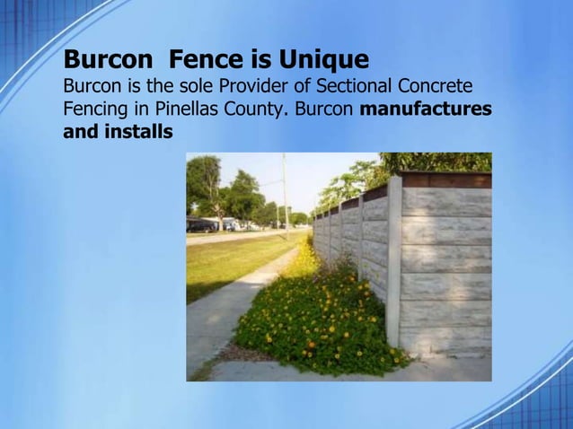 Burcon customer presentation | PPTX