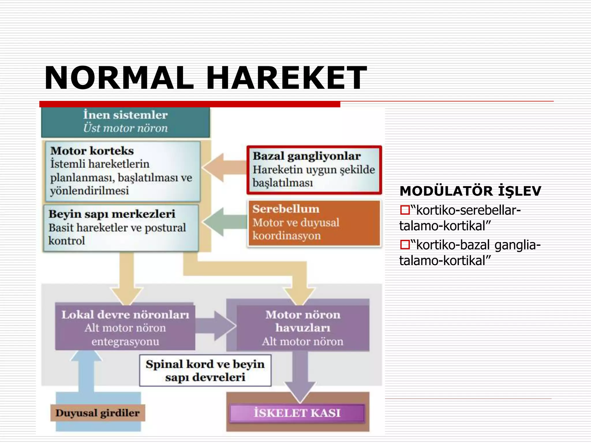 burcu-ormeci-ekstrapiramidal-sistem-ve-bazal-ganglia.ppt