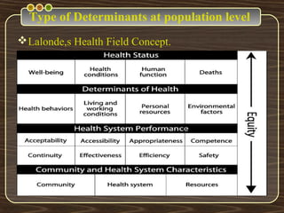 Burden of disease and determinants of health | PPT