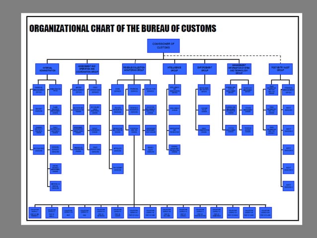 Bureau of-customs | PPTX