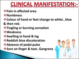 Burger disease | PPTX | Blood Disorders | Diseases and Conditions