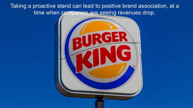 Burger King Advertisment Ppt