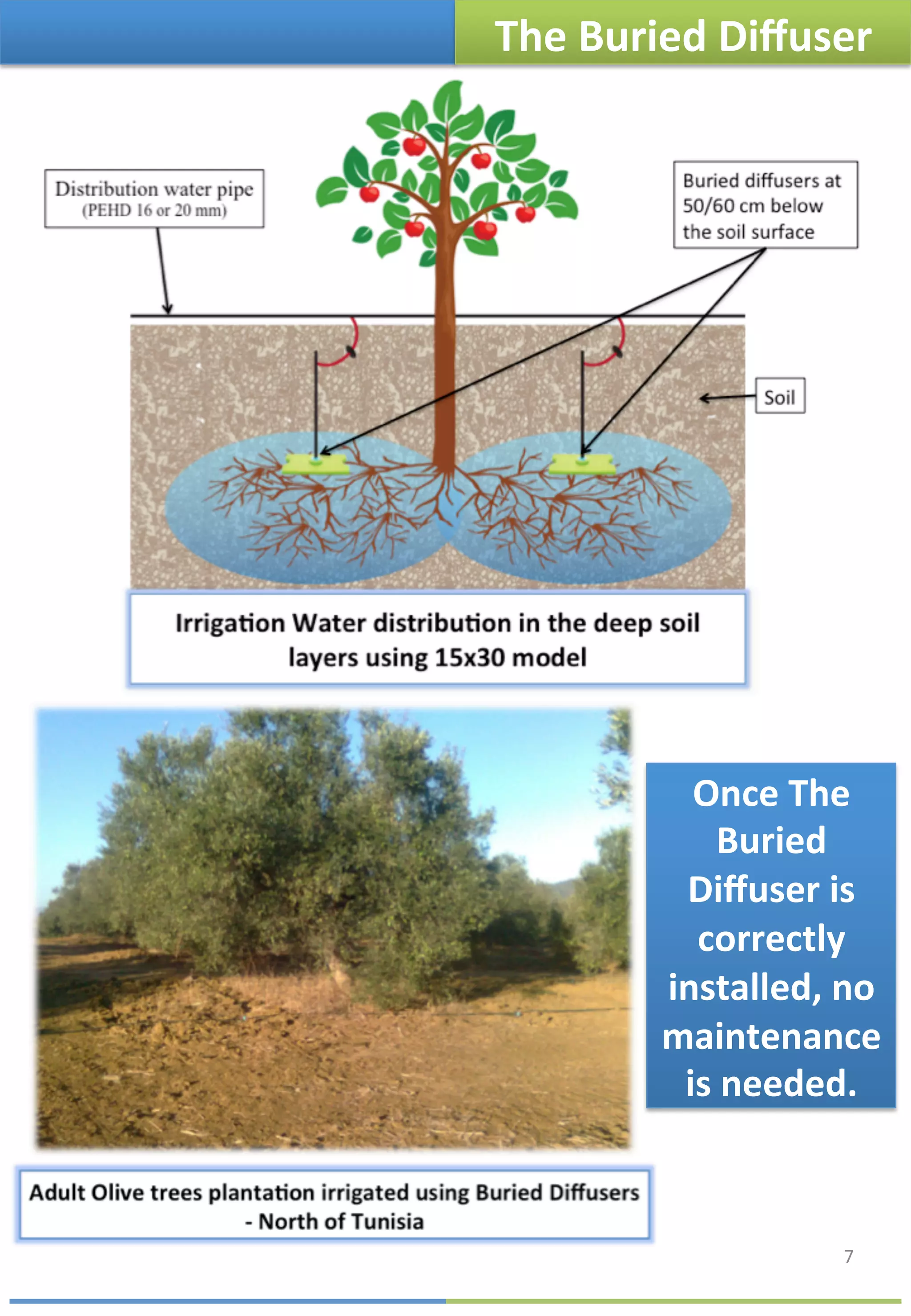 Buried diffusers-advantages-compared-with-the-drip-irrigation | PDF