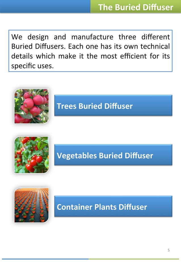 Buried diffusers-advantages-compared-with-the-drip-irrigation | PDF