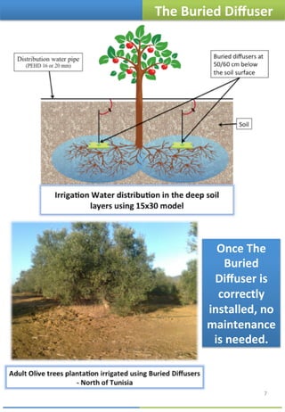 Buried diffusers-advantages-compared-with-the-drip-irrigation | PDF