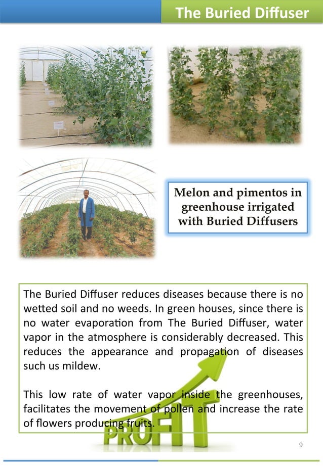 Buried diffusers-advantages-compared-with-the-drip-irrigation | PDF