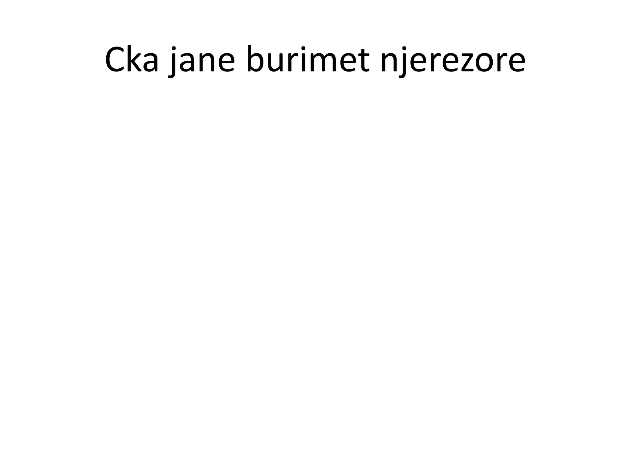 Burimet njerezore | PPTX