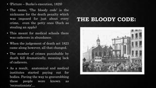 Burke and hare criminology presentation int 2 | PPTX