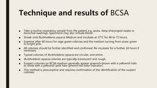 Burkholderia cepacia | PPTX