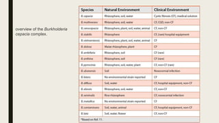 Burkholderia cepacia | PPTX