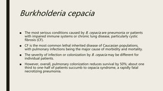 Burkholderia cepacia | PPT