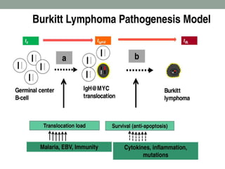 Burkitts lymphoma and abdominal masses | PPT