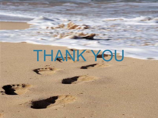 unocal in Burma ppt | PPT