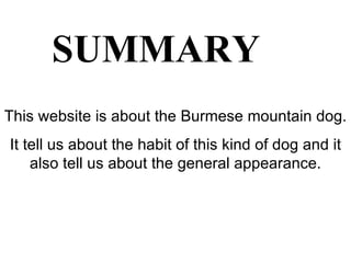 Burmese Dog | PPT