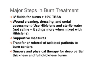 Burn | PPTX