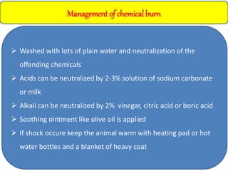 CRITICAL CARE AND MANAGEMENT OF BURN | PPTX