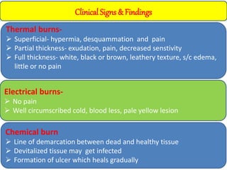 CRITICAL CARE AND MANAGEMENT OF BURN | PPTX