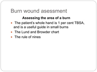 Burn | PPTX