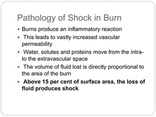Burn | PPTX