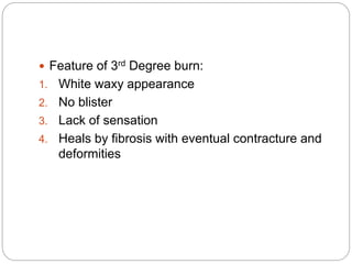 Burn | PPTX