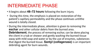 burn.pptx | Death, Injury, or Military Conflict | Sensitive Topics