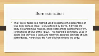 Burn & its Management for Nurses And Faculty of Nursing.pptx