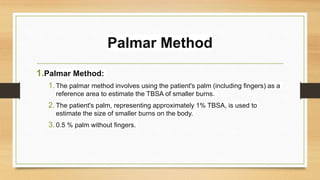 Burn & its Management for Nurses And Faculty of Nursing.pptx