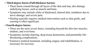 Understanding Burns: A Comprehensive Overview" | PPTX