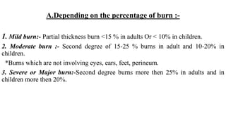 Understanding Burns: A Comprehensive Overview" | PPTX