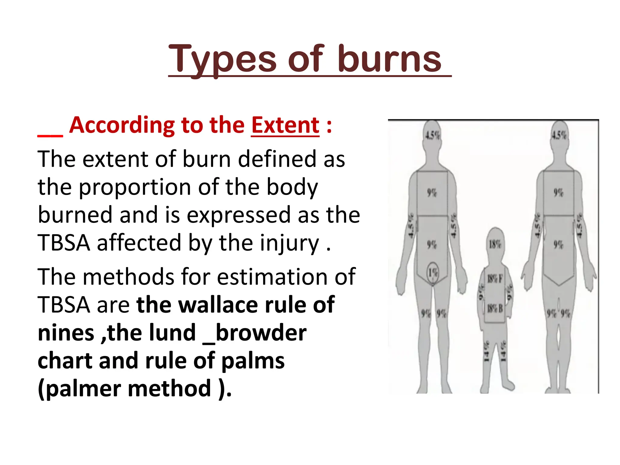 Burn.pdf for nursing student.ppt by raafat | PDF