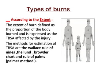Burn.pdf for nursing student.ppt by raafat | PPT