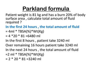 Burn.pdf for nursing student.ppt by raafat | PPT