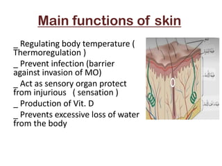 Burn.pdf for nursing student.ppt by raafat | PPT