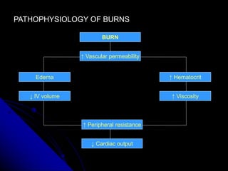 burn-injury-1202268983385701-3.ppt