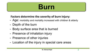 Burn 2021 | PPT