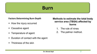 Burn 2021 | PPT