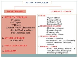 BURN 2 PATHOLOGY LOCAL CHANGES DR PRATIK.pptx