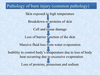 Burn and burn_rehabilitation | PDF