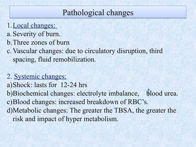 Burn And Burn Rehabilitation Ppt