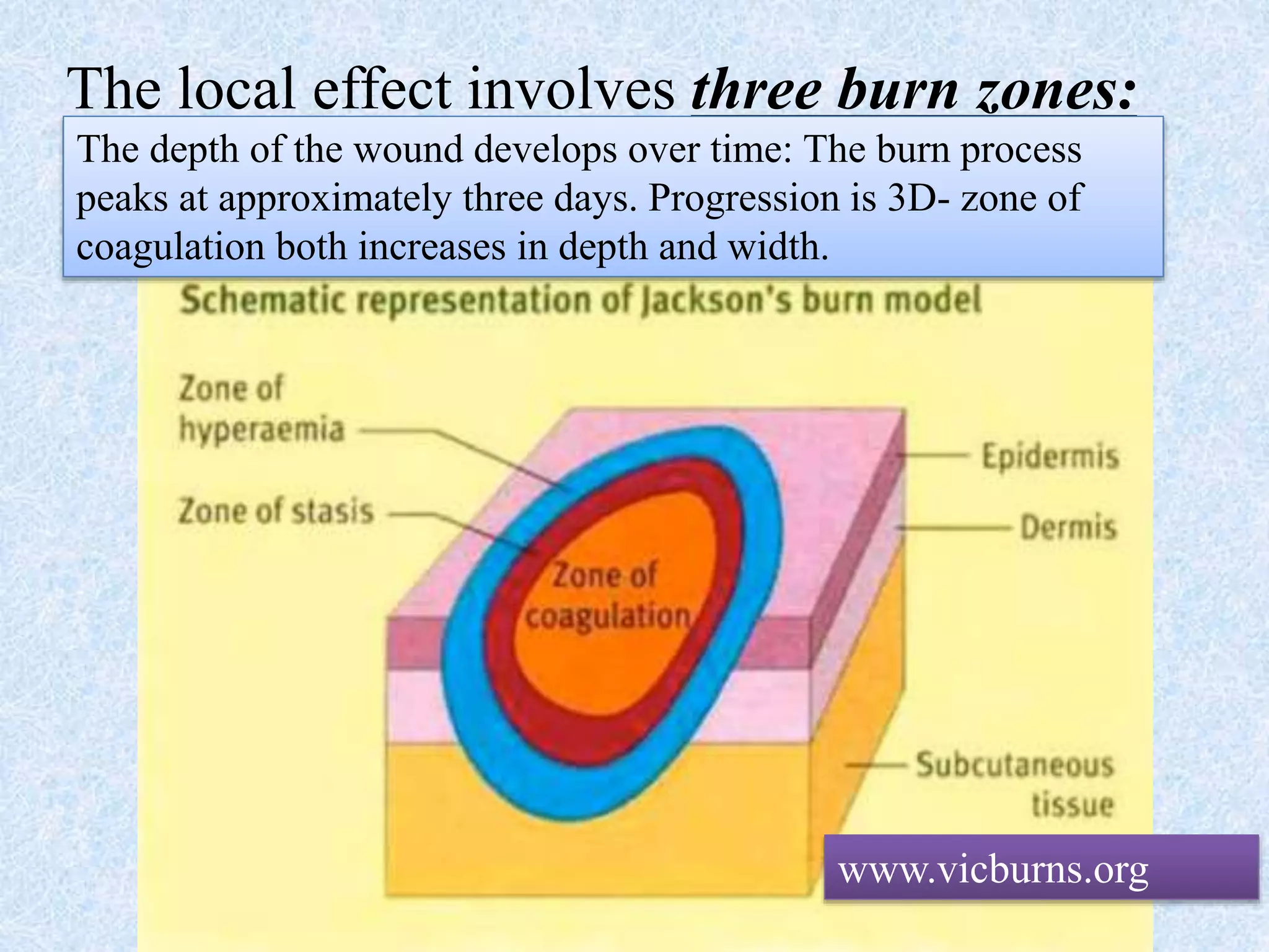 Burn and Burn Rehabilitation.pptx.ppt