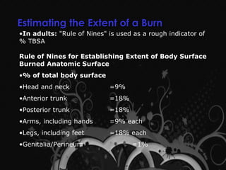 BurN baby Burn. | PPT